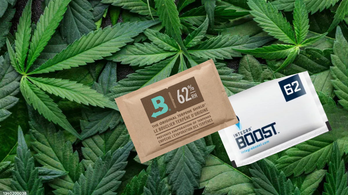 Best Humidity Packs for Weed: Preserve Quality & Potency – Staze